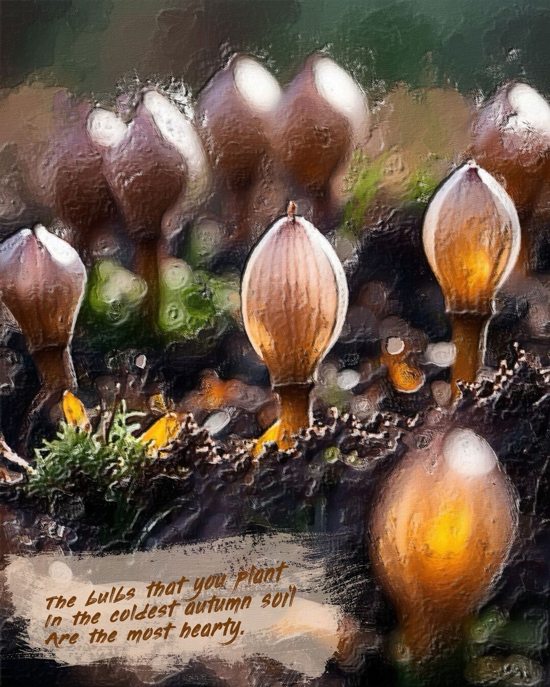 Autumn Bulbs-haiku Printable Wall Art, Serenity, Contemplation, Mother ...