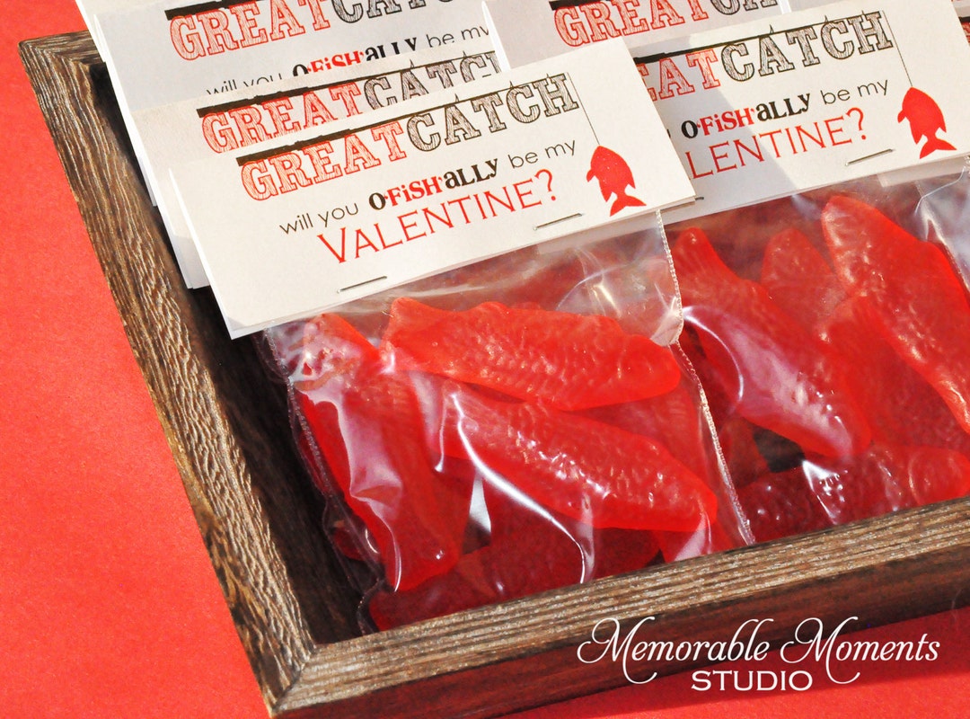 INSTANT DOWNLOAD - Printable Candy Bag Labels - Happy Valentine's Day ...