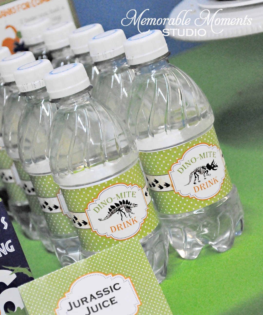 INSTANT DOWNLOAD Printable Water Bottle Labels Dino-mite - Etsy