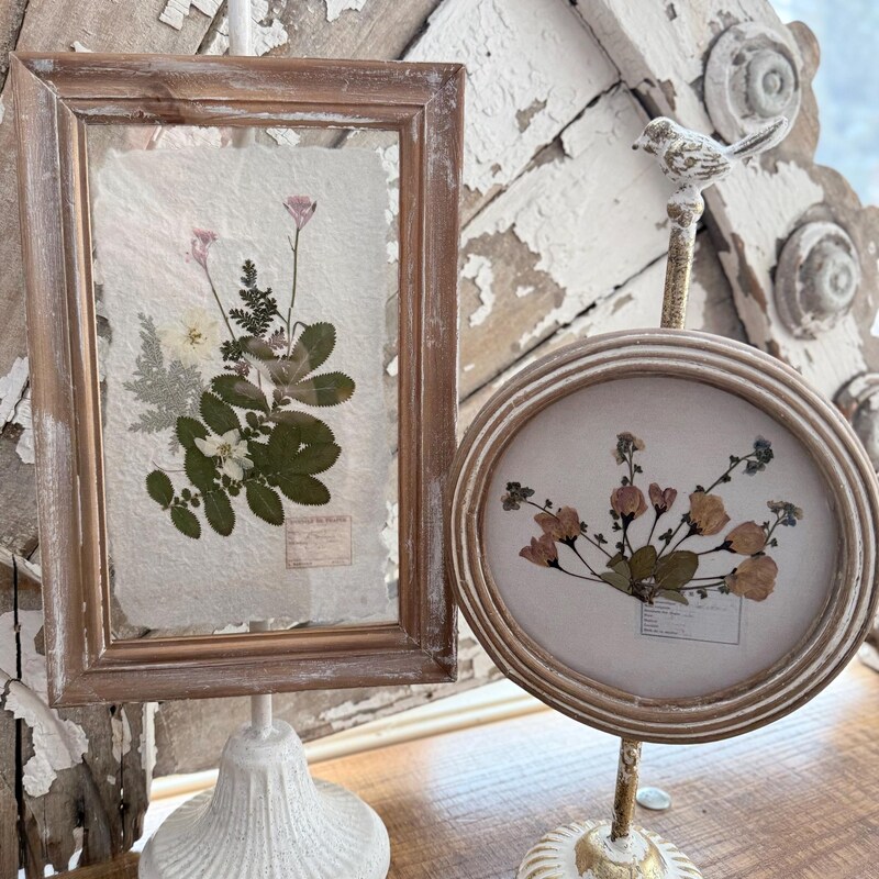 Herbarium Frame - Etsy