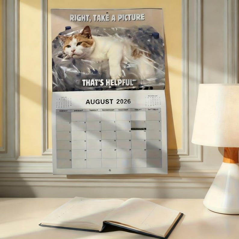 2026 Grumpy Cats Wall Calendar, Funny Cat Lover Gift - Etsy
