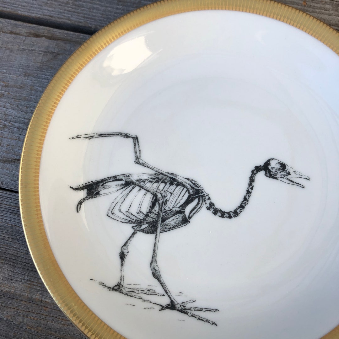 Bird Skeleton Plate Approx. 20 Cm Porcelain With - Etsy