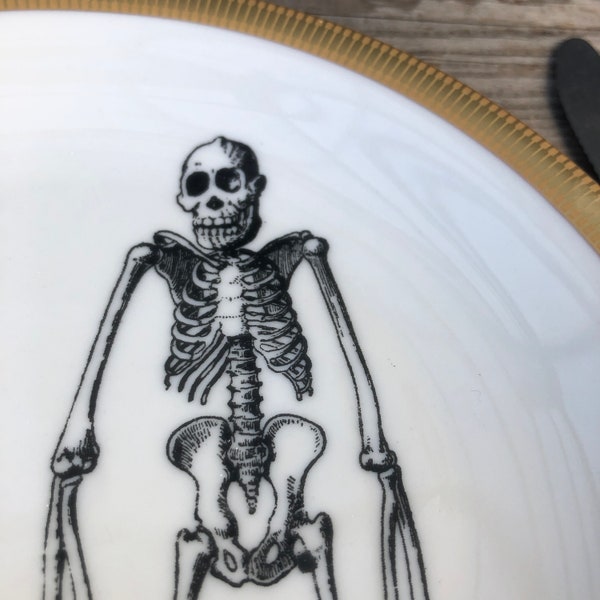 Monkey Skeletons - Etsy