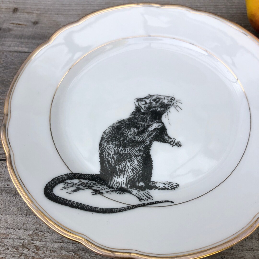Porcelain Plate "rat", Aprox. 20cm, Handprinted on Vintageporcelain ...