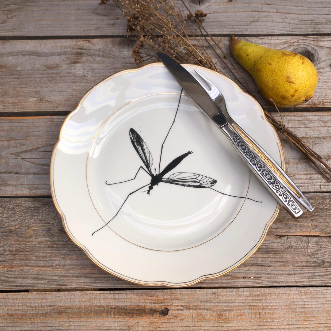 Dinnerplate “mosquito”, 24cm, Vintageporcelain With Goldrim and ...