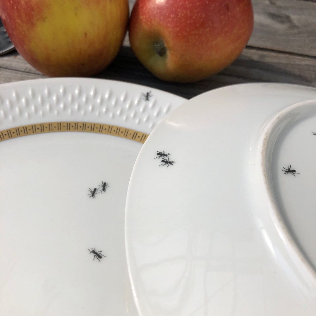 Plate ants, Approx. 19 Cm, Porcelain With Gold Rim, Fine Structure and ...