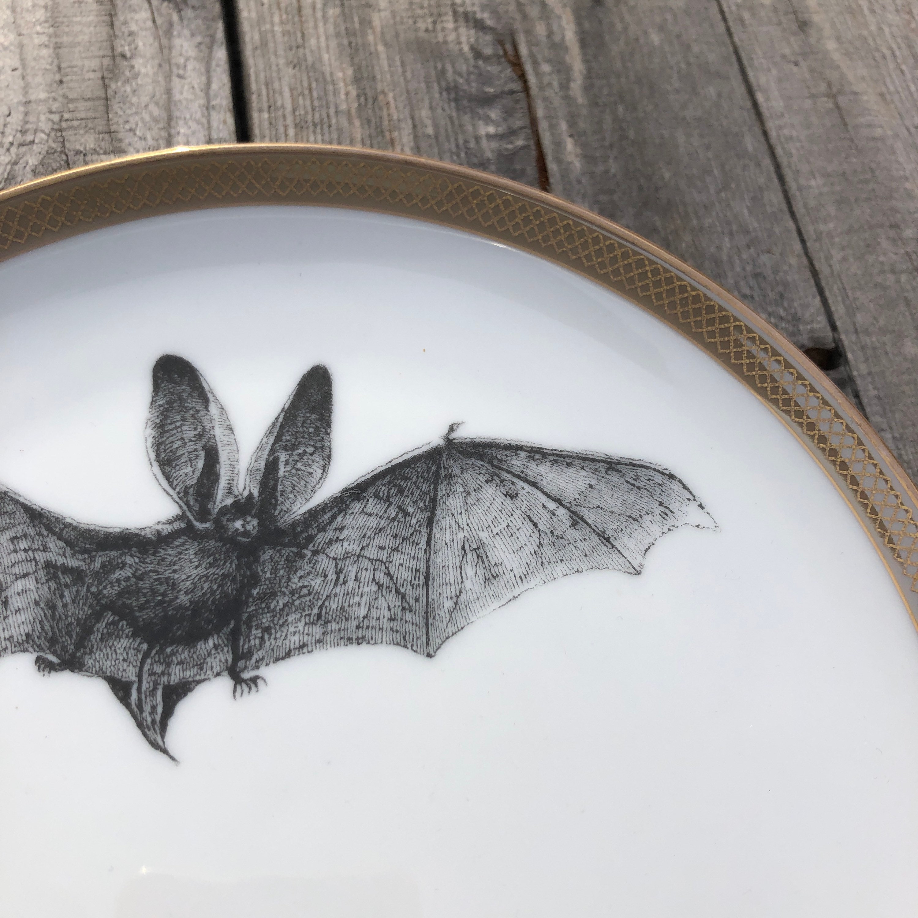 Plate Porcelain bat 20cm white with Goldrim | Etsy