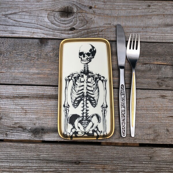 Anatomy Plates - Etsy