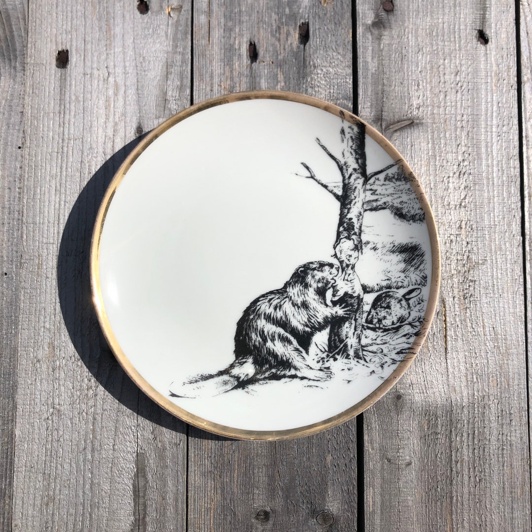 Plate, Porcelain, beaver, 21cm, White With Goldrim, Vintageporcelain ...