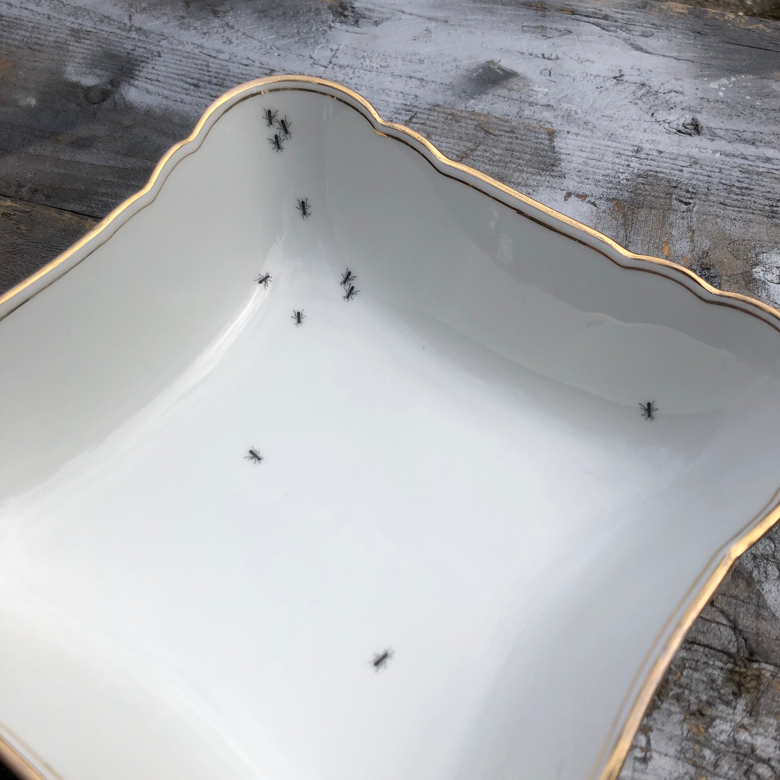 Porcelain Bowl "ants" With Gold Rim, Approx. 16/17 Cm in Diameter, Gift ...
