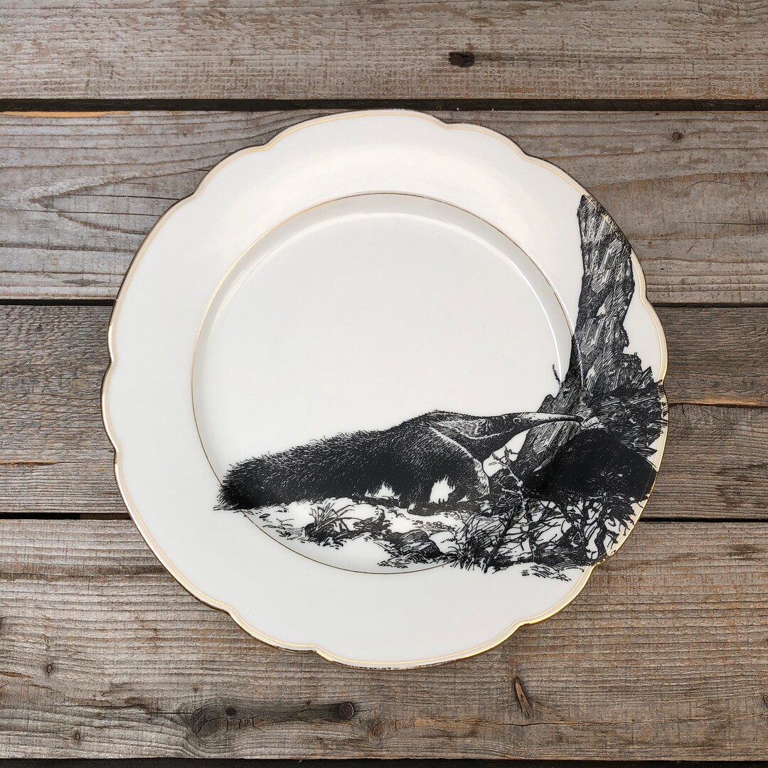 Porcelain Plate "anteater", Vintageplate With Goldrim (approx. 24cm ...