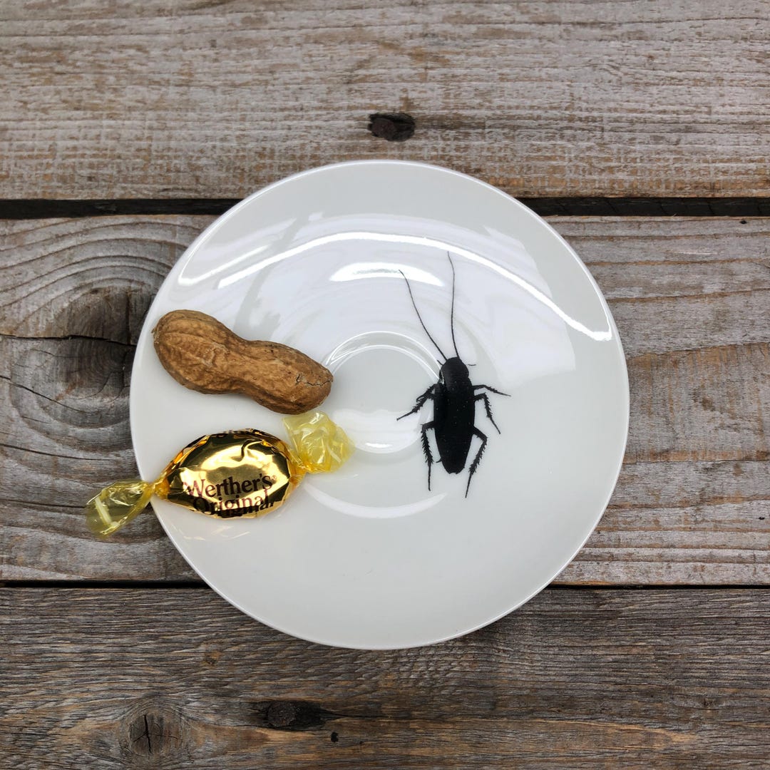 Cockroach Porcelain, White Saucer With Hand-printed Screen Print Motif ...