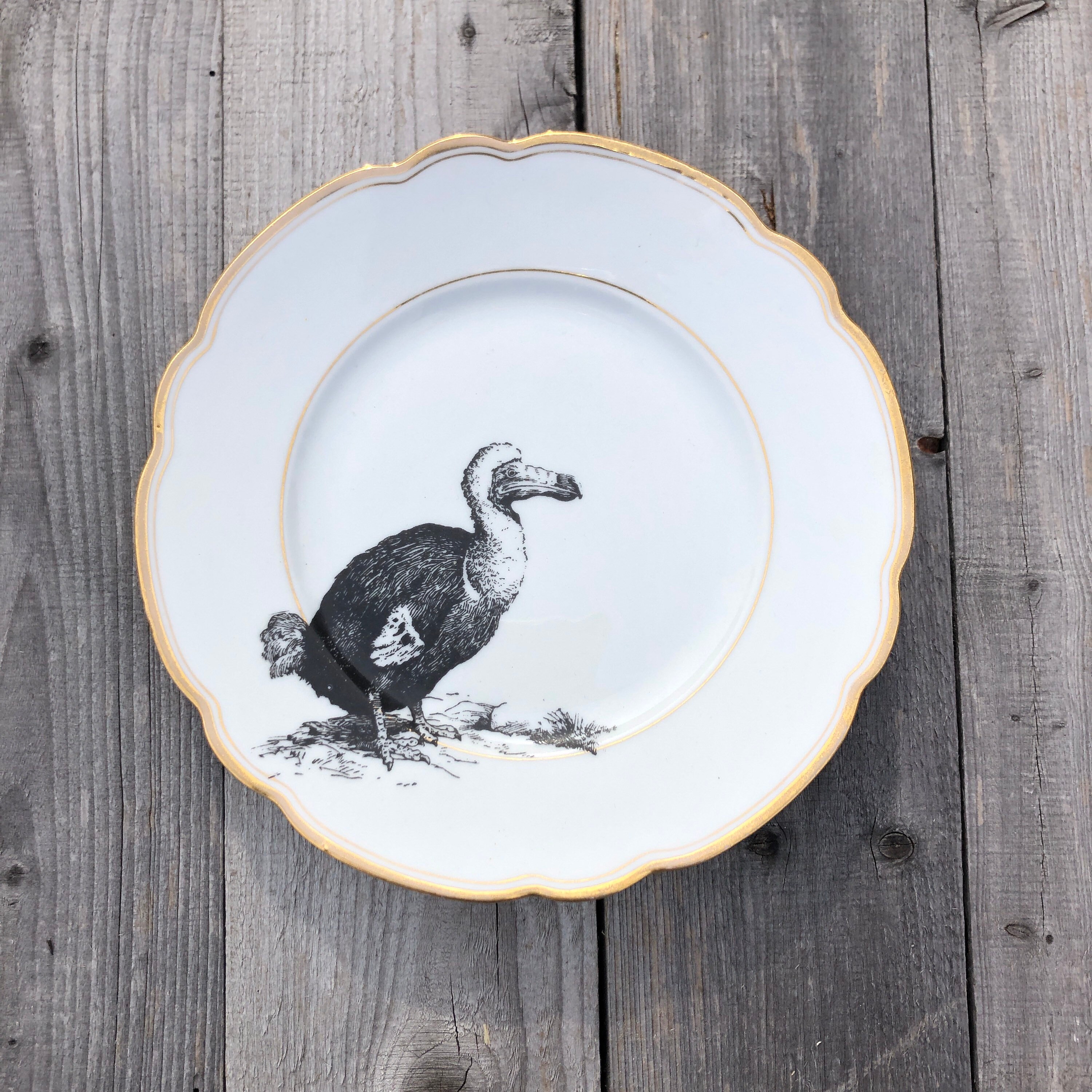 Porcelainplate Dodo ø 21cm | Etsy