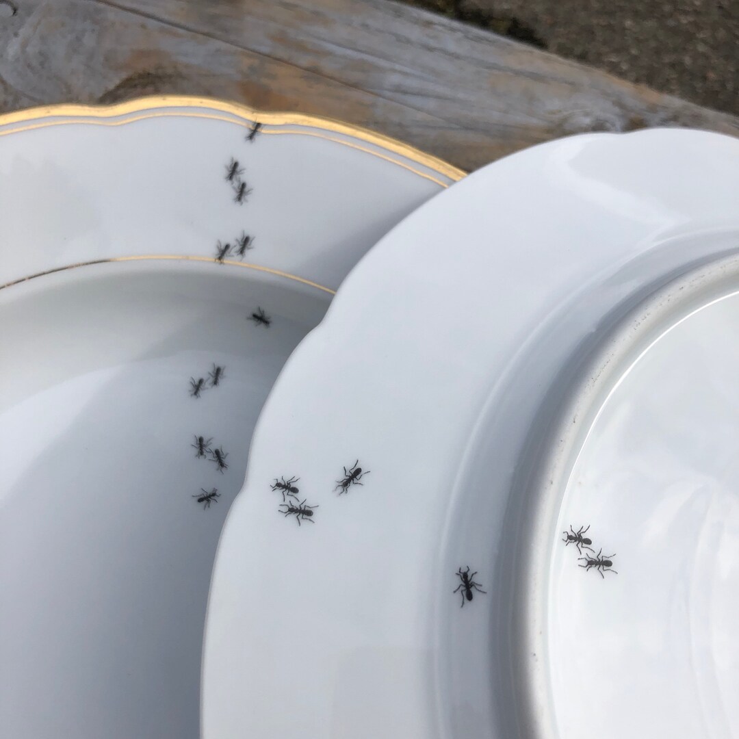 Porcelain Plate "ants", 24cm, Vintage Porcelain White With Goldrim ...