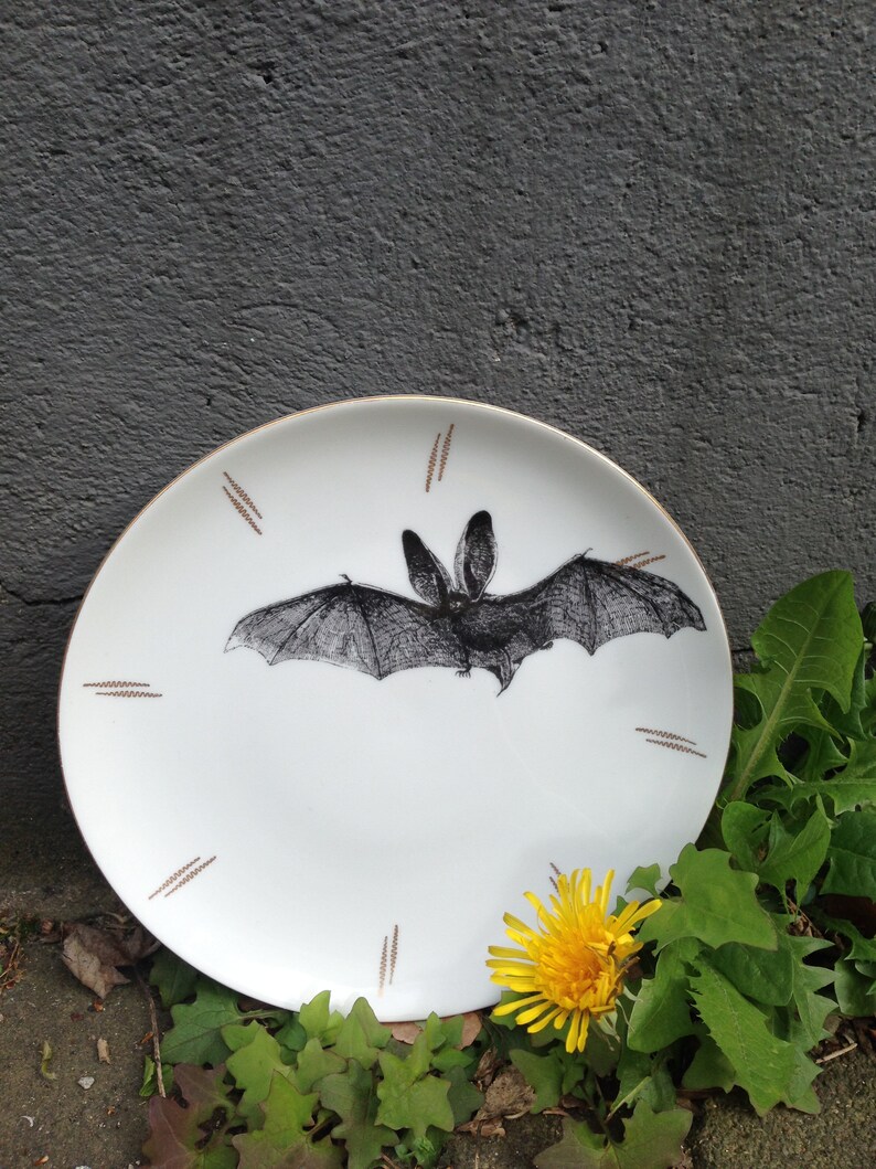 Plate Porcelain bat 20cm white with Goldrim | Etsy