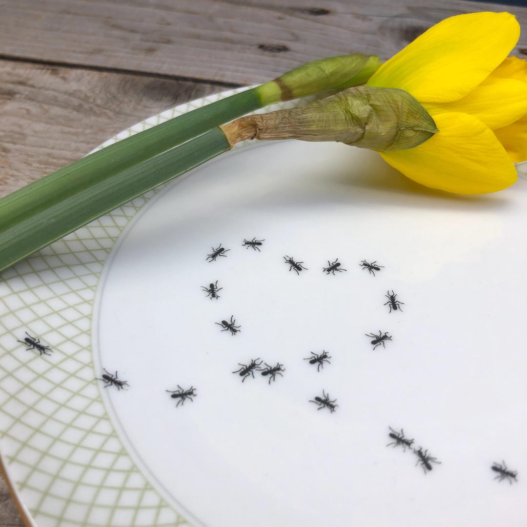 Valtentines Day Plate, Vintage Porcelain Green Retro Decor With Goldrim ...