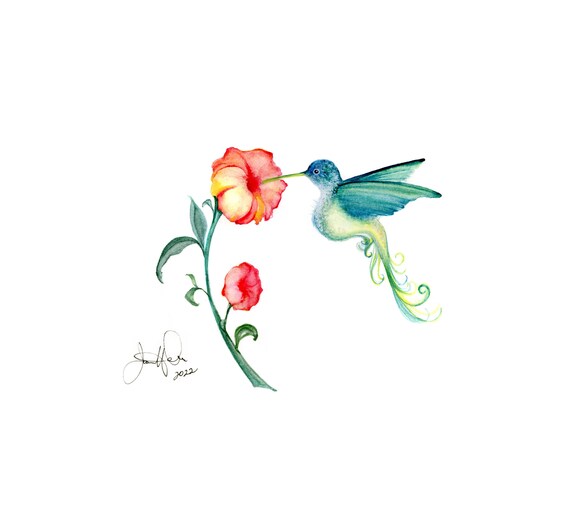 Hummingbird And Flower Pencil Drawing
