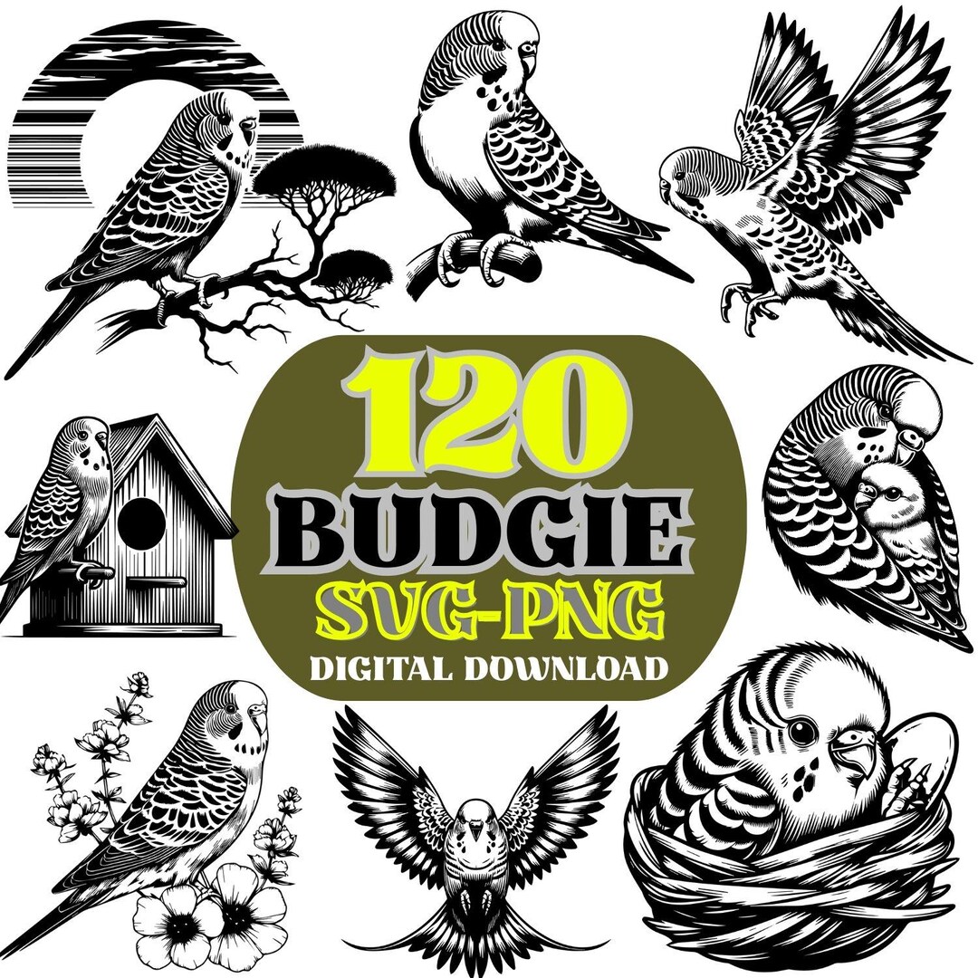Budgie SVG PNG Bundle, 120 Parakeet Illustrations (digital Download) - Etsy