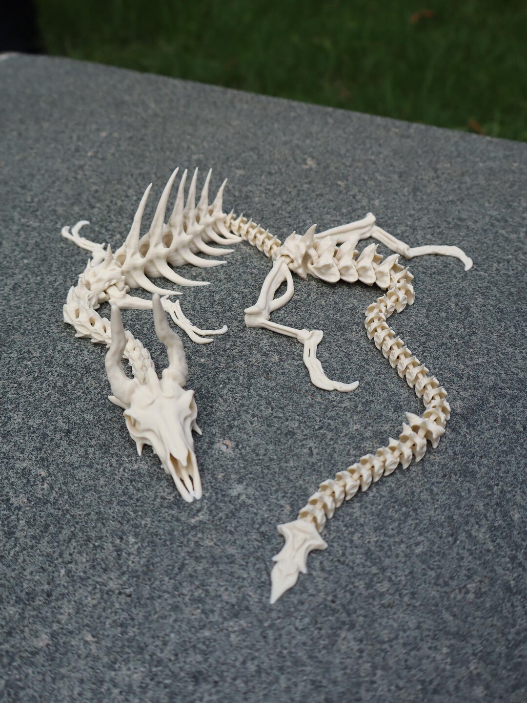 15 Inches Articulated Dragon Skeleton – 3D Printed Fantasy Creature ...