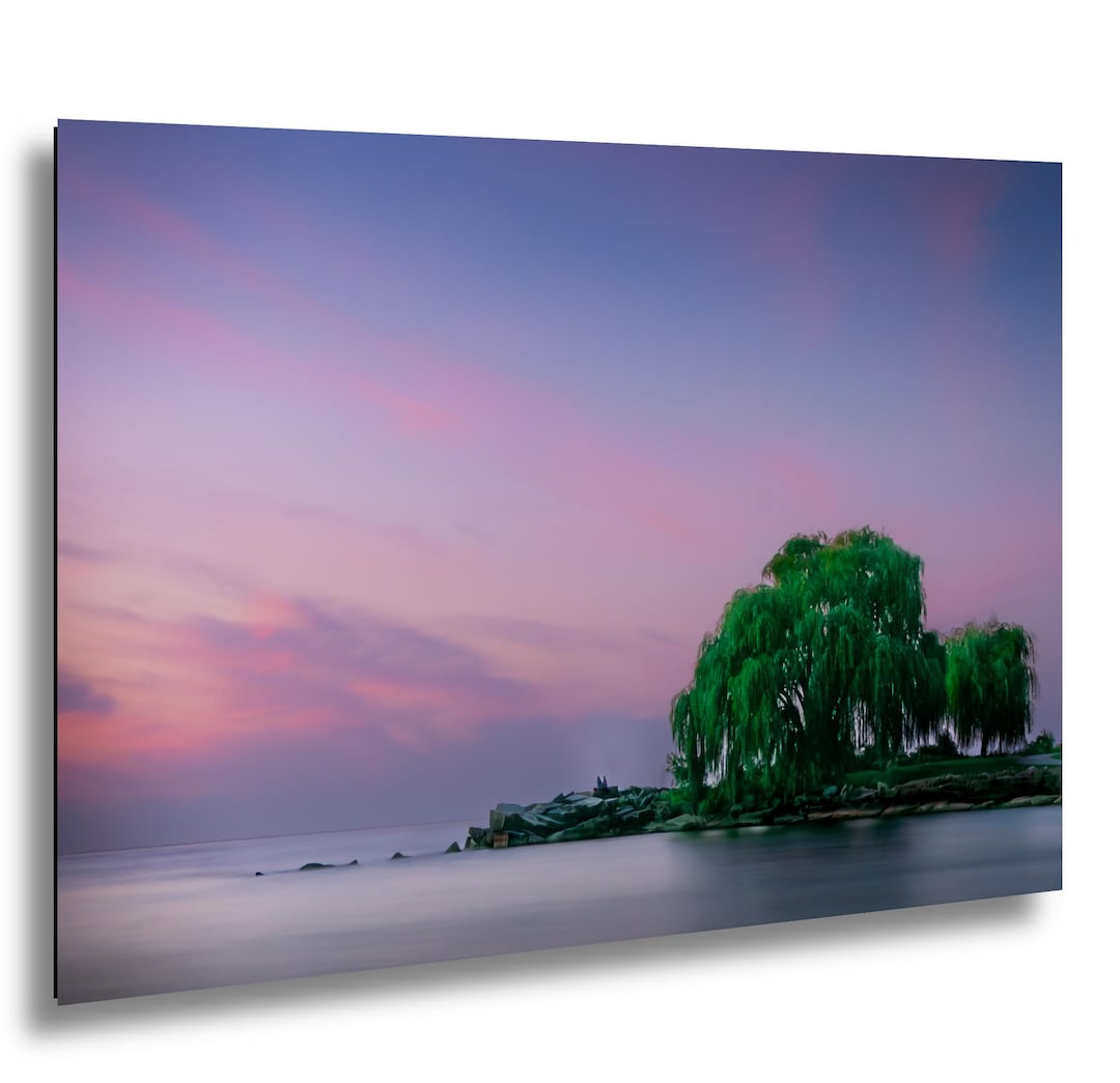 Weeping Willow Sunset Photo - Lake Erie Edgewater Park Landscape - Etsy
