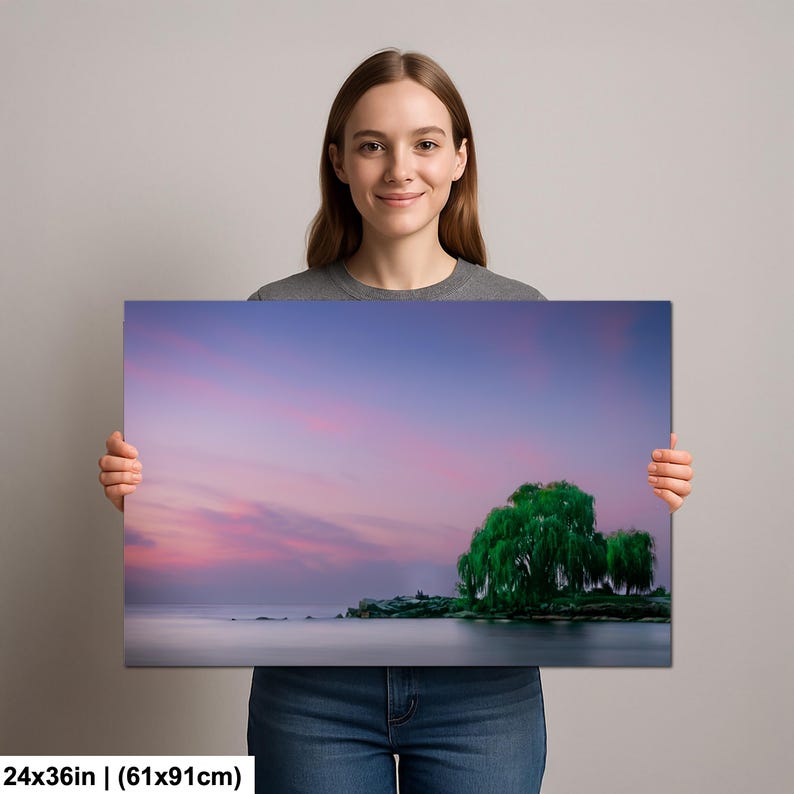 Weeping Willow Sunset Photo - Lake Erie Edgewater Park Landscape - Etsy