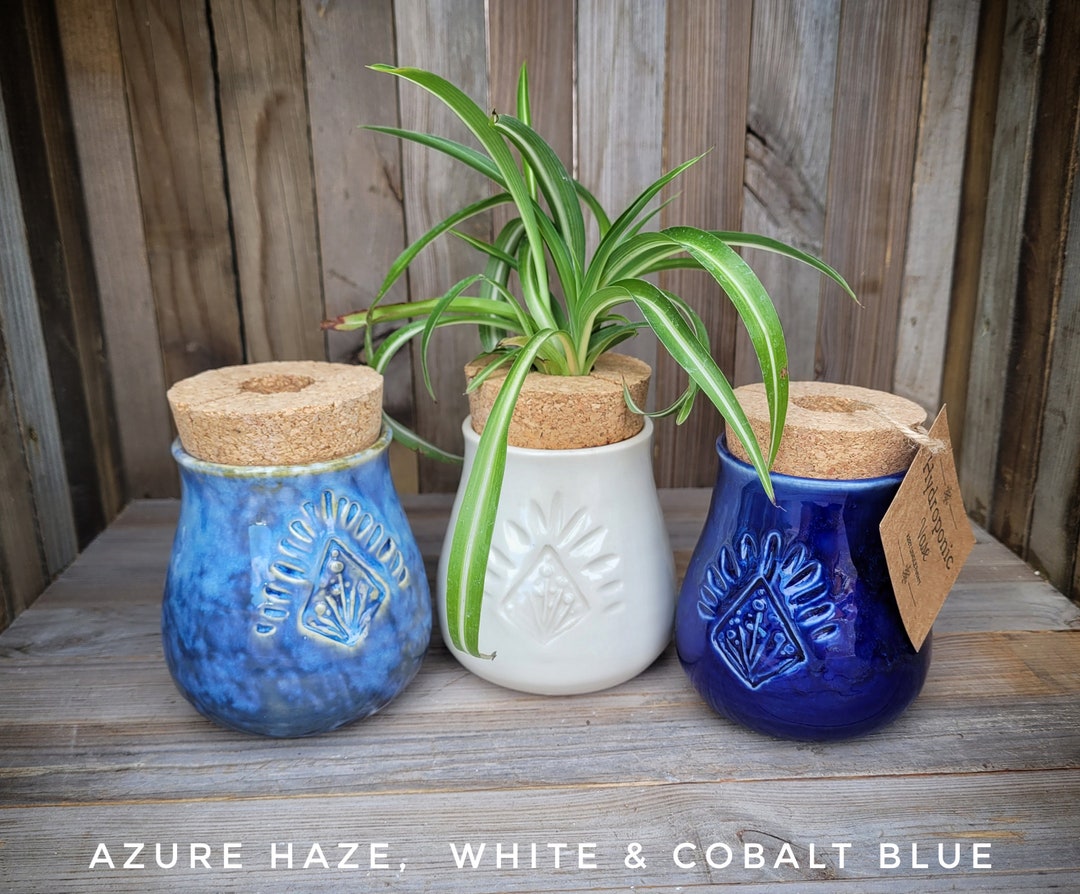 Hydroponic Planter / Plant Propagation Vase / Rooting Pot / Indoor ...