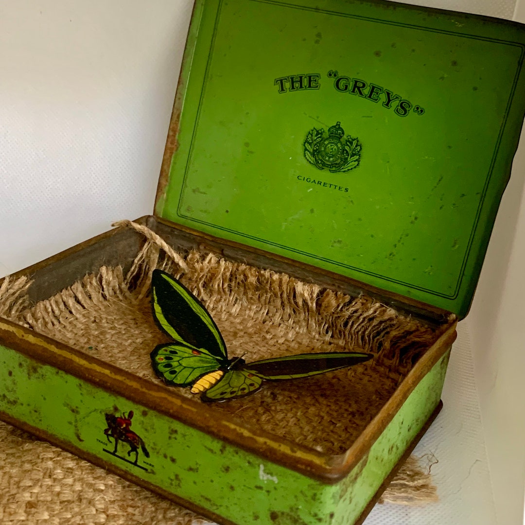 Hand Drawn Paper Taxidermy Birdwing Butterfly in Vintage Tin With ...