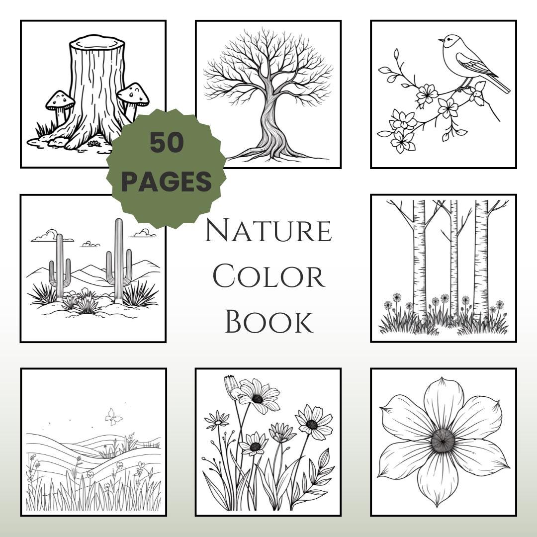 Nature Coloring Pages Bundle: 50 Botanical Designs (PDF Download ...