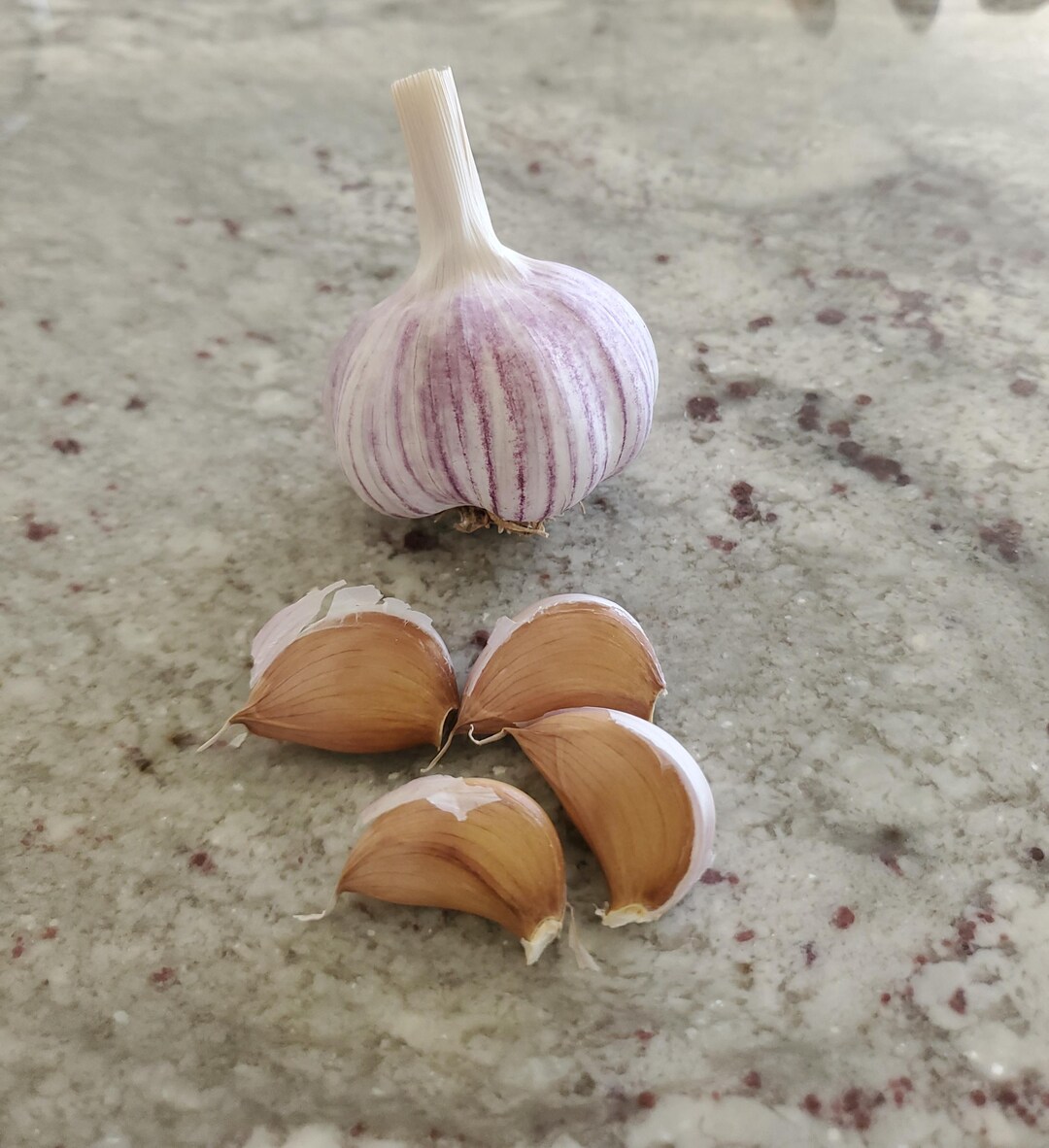 THAI FIRE Turban Hardneck Garlic Bulbs by the Pound Naturally Grown ...