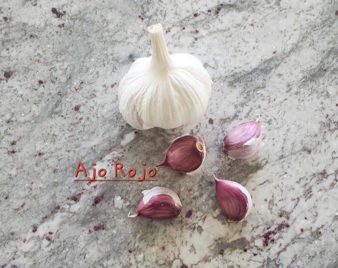 Variety Pack Hardneck Garlic 3 Bulbs of Each Type Duganski ~ Ajo Rojo ...