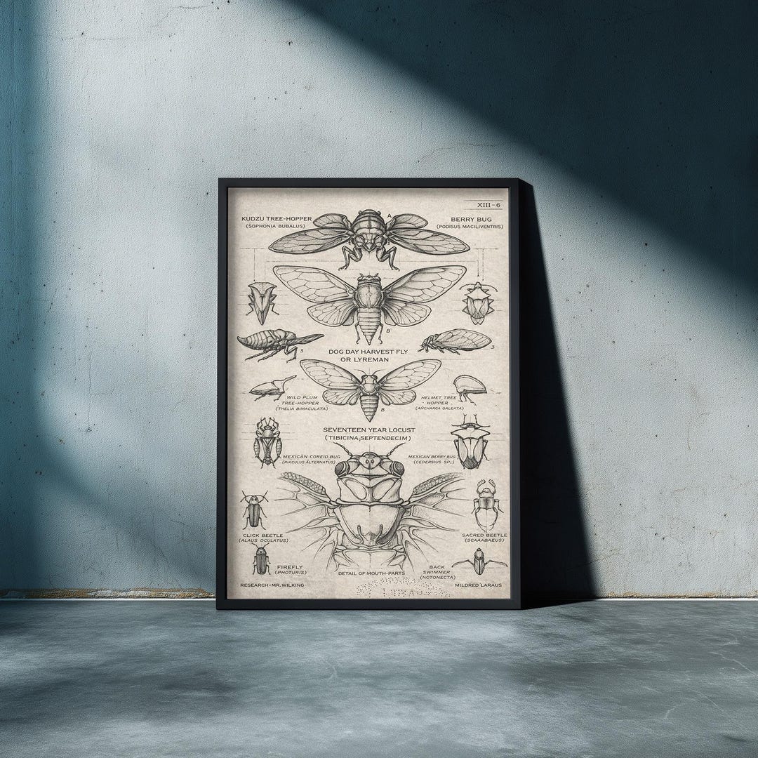 Insect Moth Poster – Vintage Biology Art Print Entomology Wall Decor ...