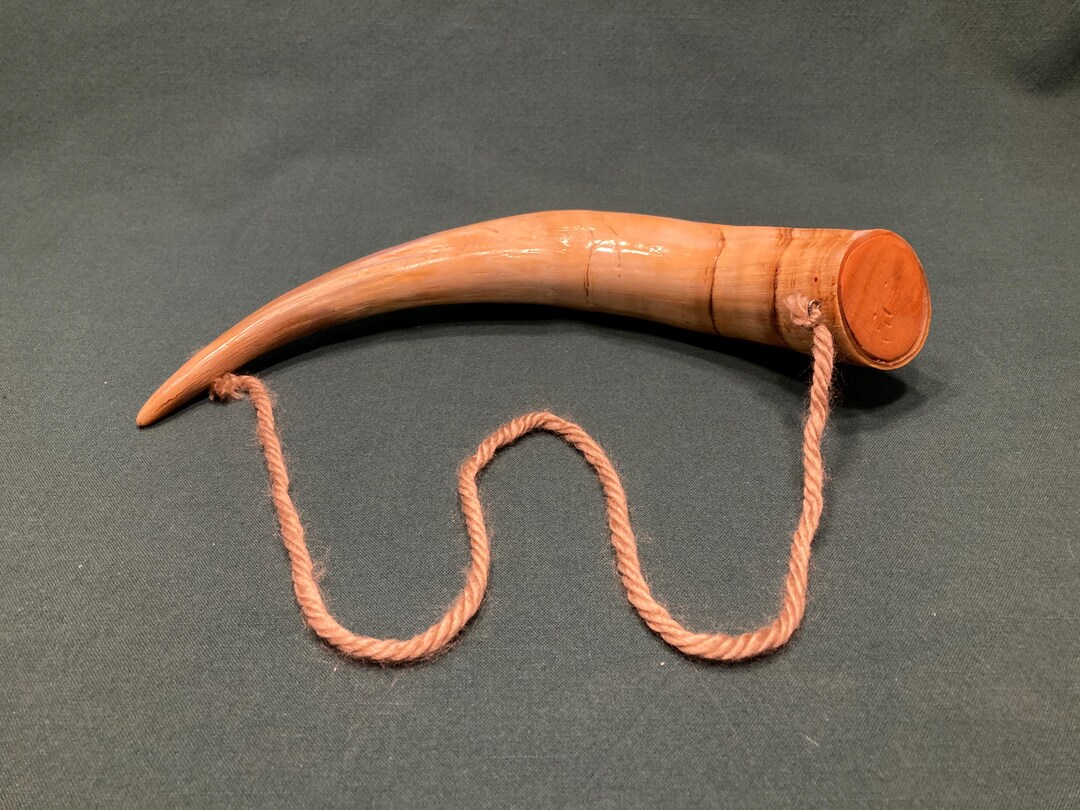 Natural Bull/steer Horn From 1960's - Etsy