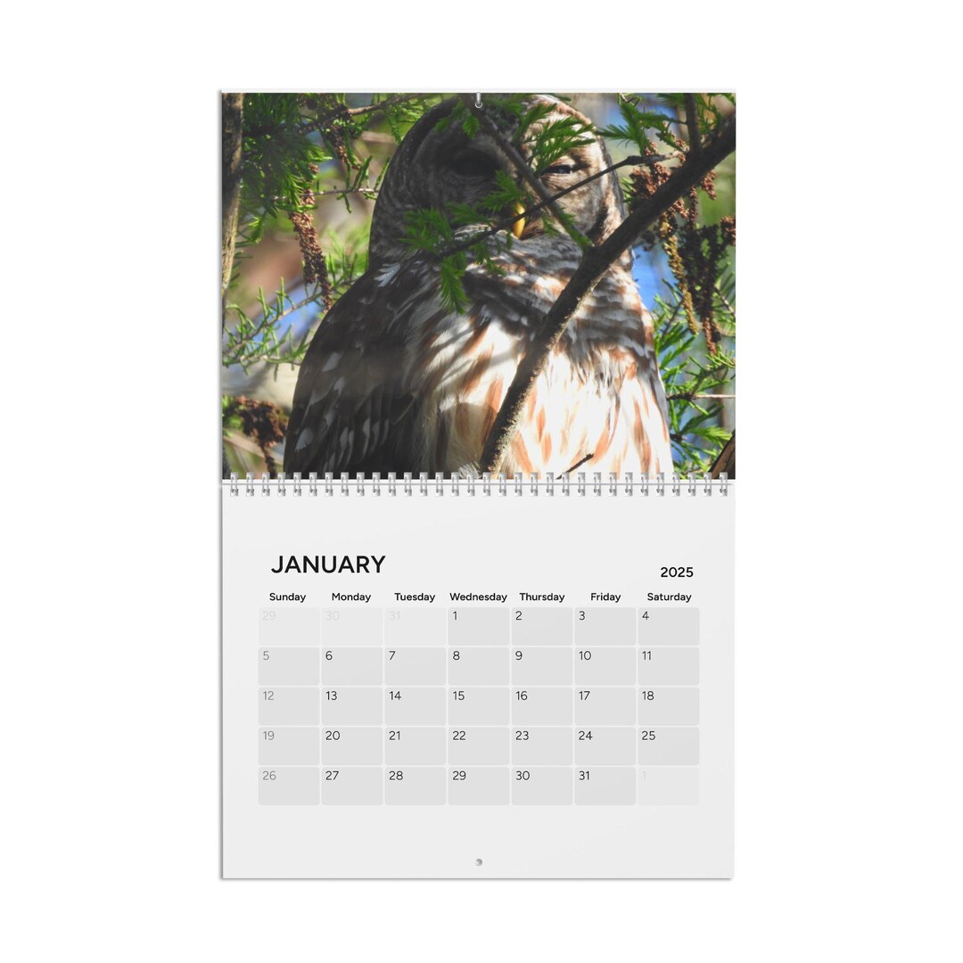 Nature-themed Calendar 2025 | Wildlife Photography Calendar, Bird Lover ...