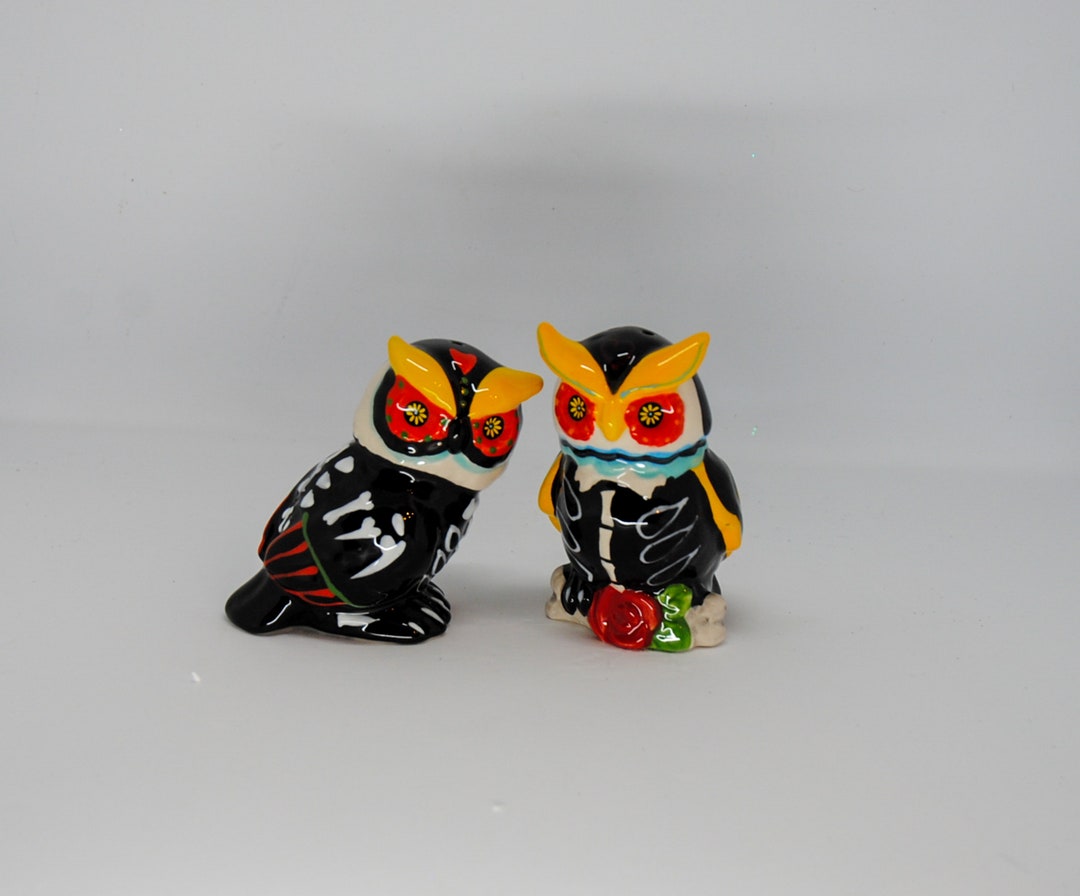 Day of the Dead Owl Salt and Pepper Shakers - Etsy