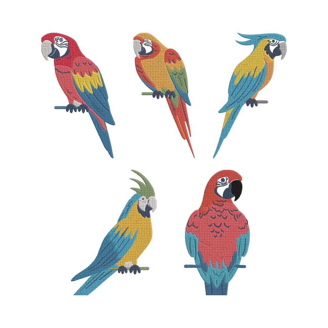 Parrot Machine Embroidery Design, Macaw Bird on Branch Embroidery File ...