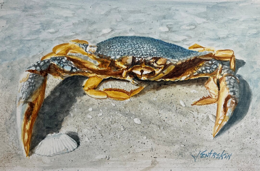 Crab on Seashore. Watercolor of Crab on Seashore in the Sand, Beach ...