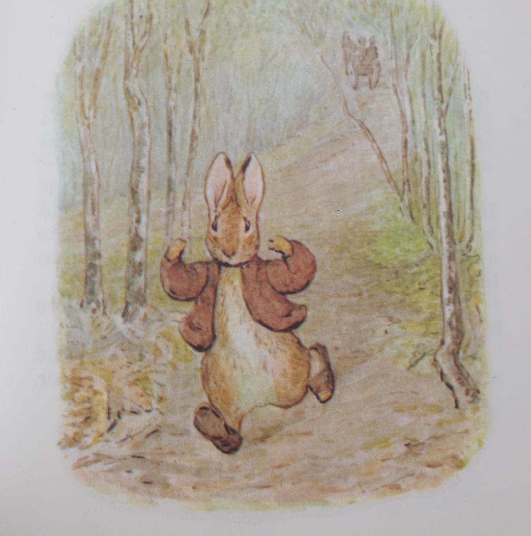 1986 Softback Booklet the Tale of Benjamin Bunny With Peter Rabbit ...