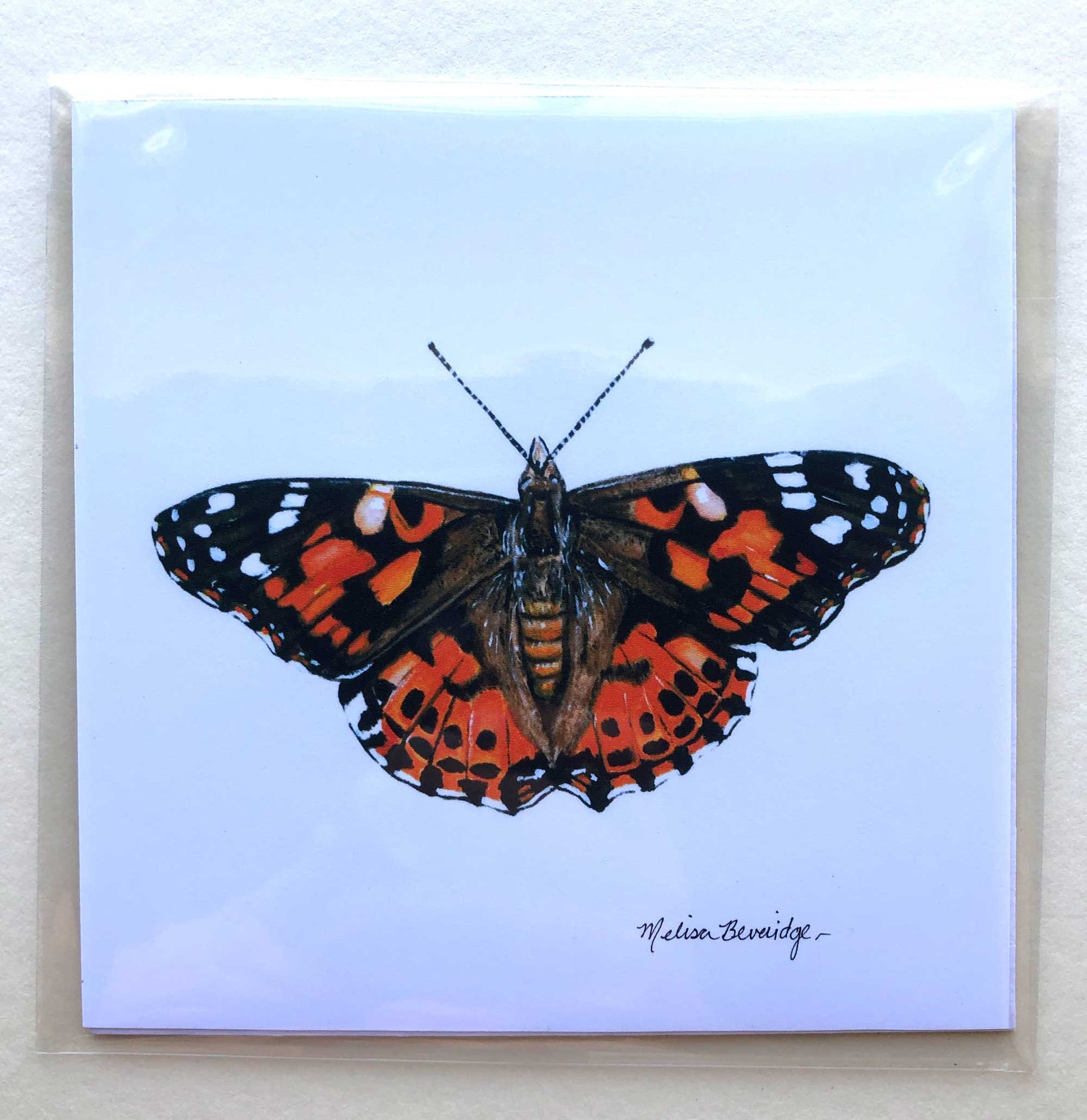 Painted Lady Butterfly Print - Etsy