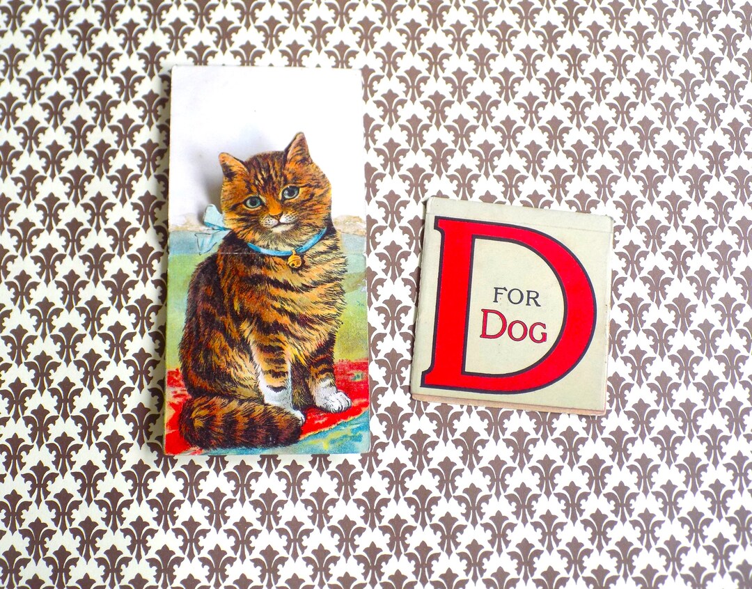 Antique Cat Alphabet Card - Etsy