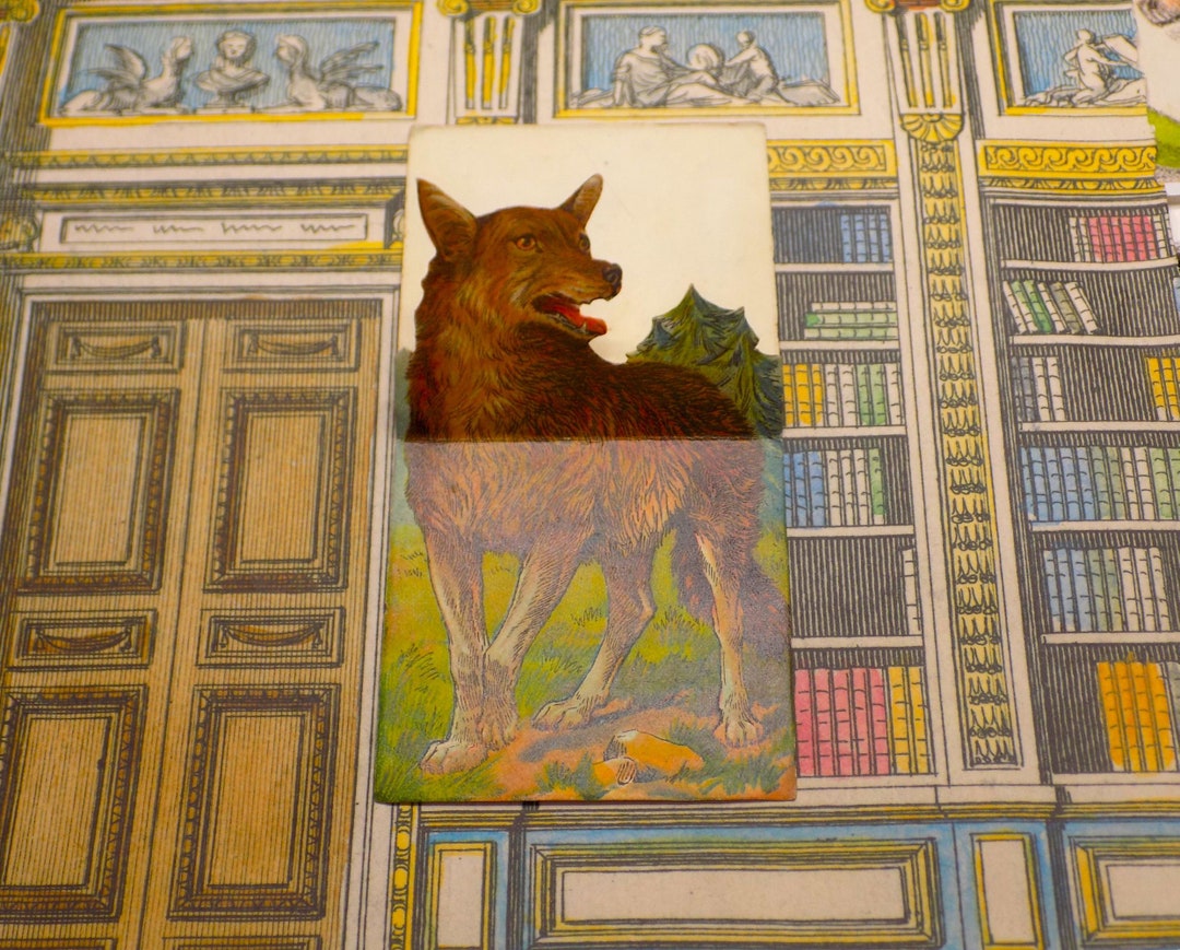Antique Wolf Alphabet Card - Etsy