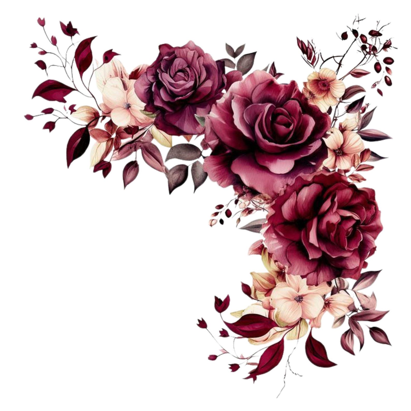 18 Burgundy Floral PNG | Blush Rose Clipart for Sublimation & Wall Art ...