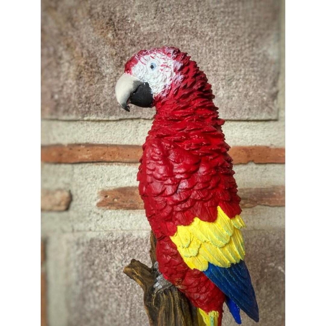 Hand Painted Macaw Parrot Sculpture, Colorful Resin Tropical Decor - Etsy