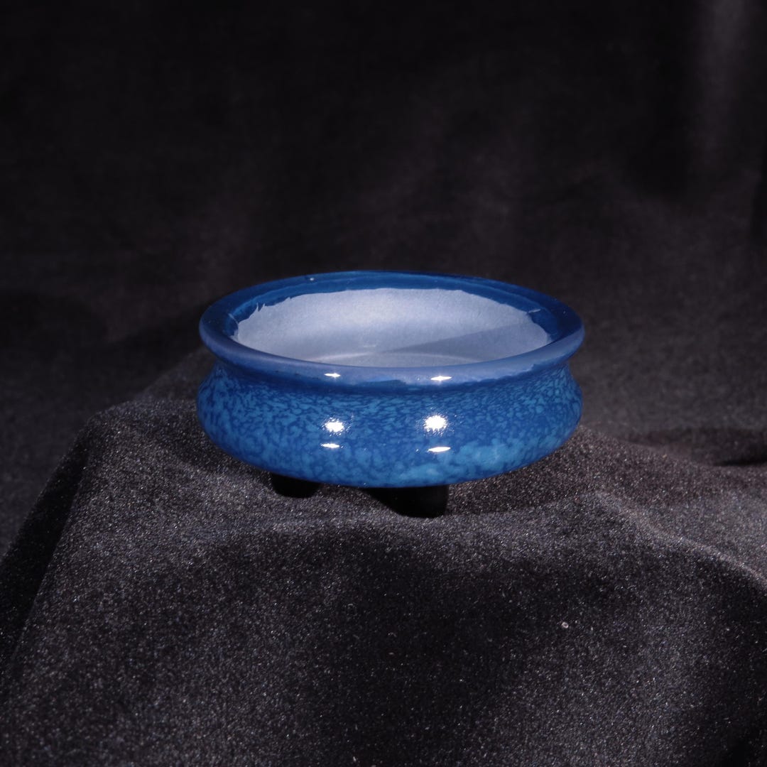 Glass Mame Bonsai Pot, Miniature Plant Pot --- Water - Etsy