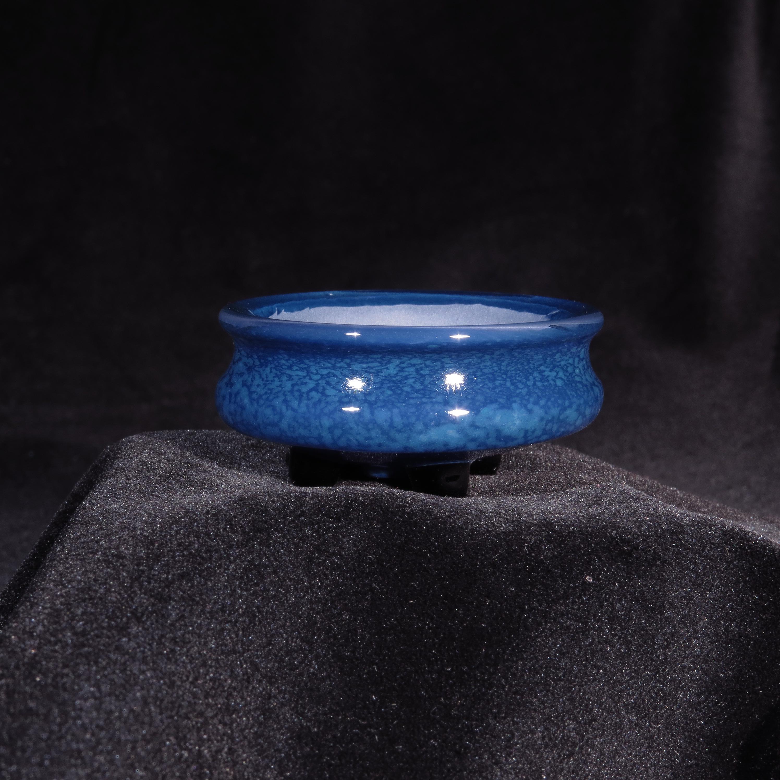 Glass Mame Bonsai Pot, Miniature Plant Pot --- Water - Etsy