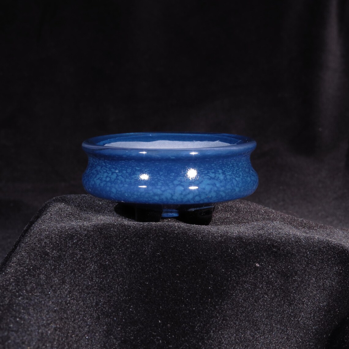 Glass Mame Bonsai Pot, Miniature Plant Pot --- Water - Etsy