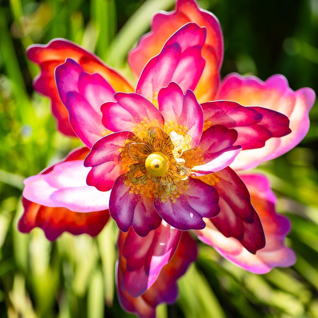 Posy Fun Seven Giant Double Spin Pinwheel Wind Spinner Whirligig ...