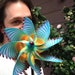 Hummingbird Pinwheel Spinner Whirligig Windmill Fan - Etsy