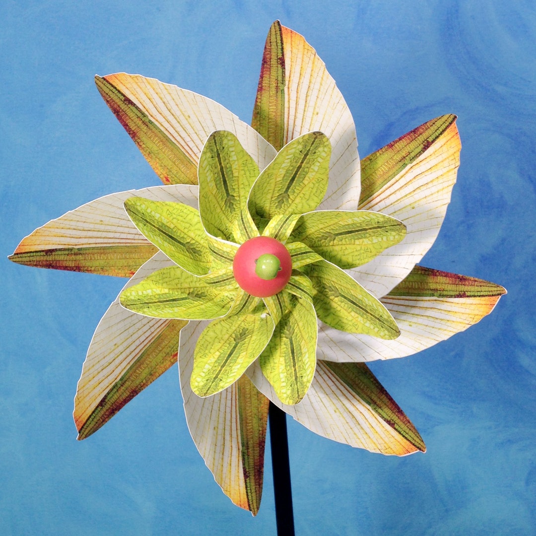 Eurycnena Goliath Stick Bug Double Spin Pinwheel Wind Spinner - Etsy