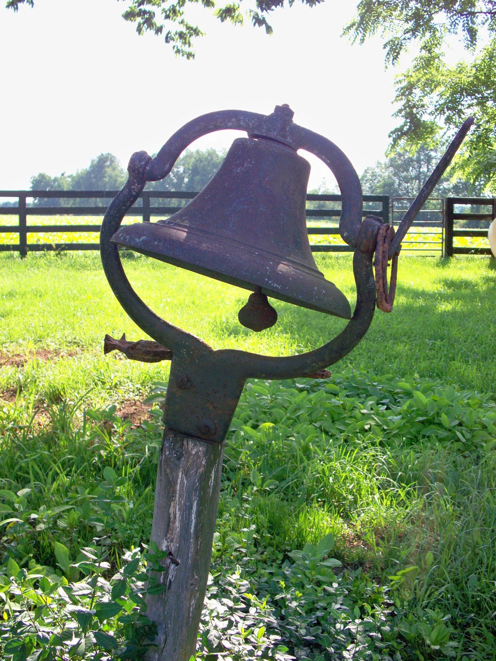 Farm Bell, Woodford County, Kentucky, 5 X 7 Fine Art Photo, Signed - Etsy