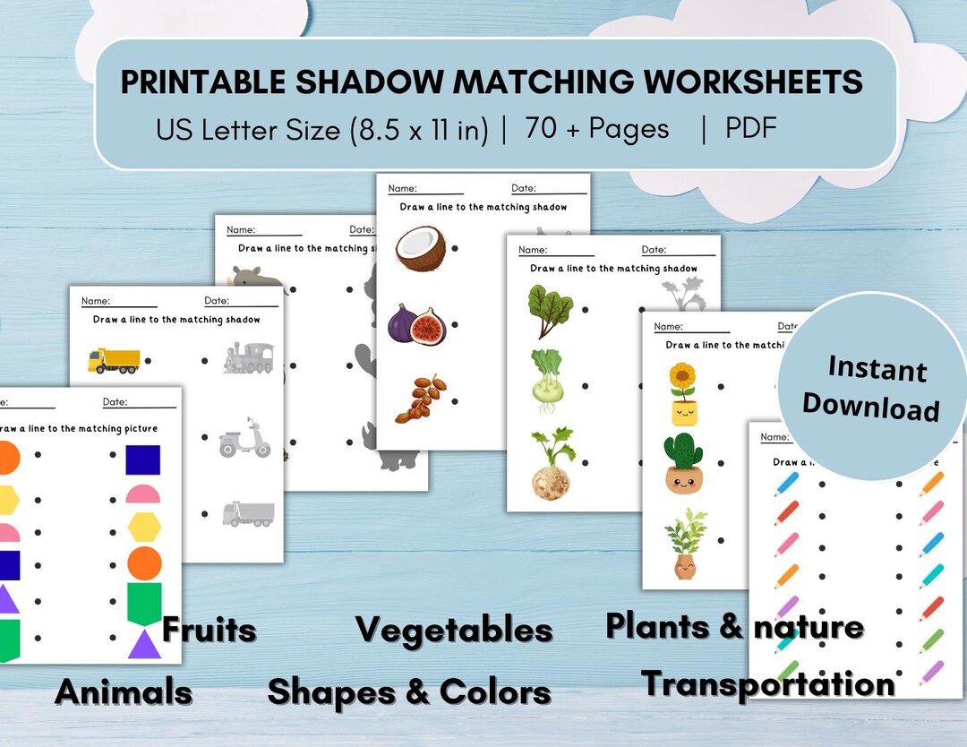 70 Fun Shadow Matching Worksheets for Kids | Printable Learning ...